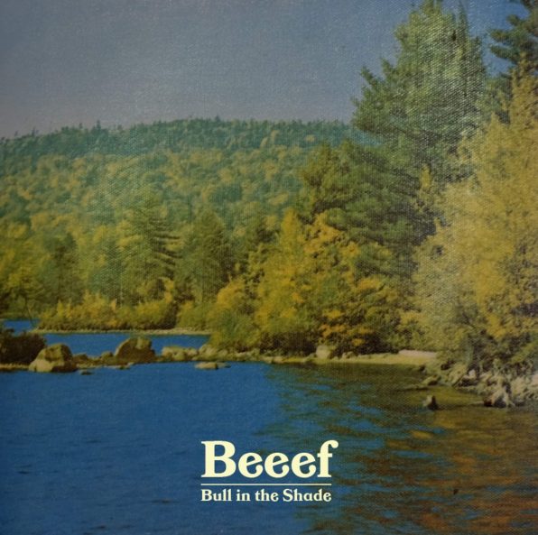 Track Premiere: Fresh Beeef Served Up With Help From Sidney Gish ...